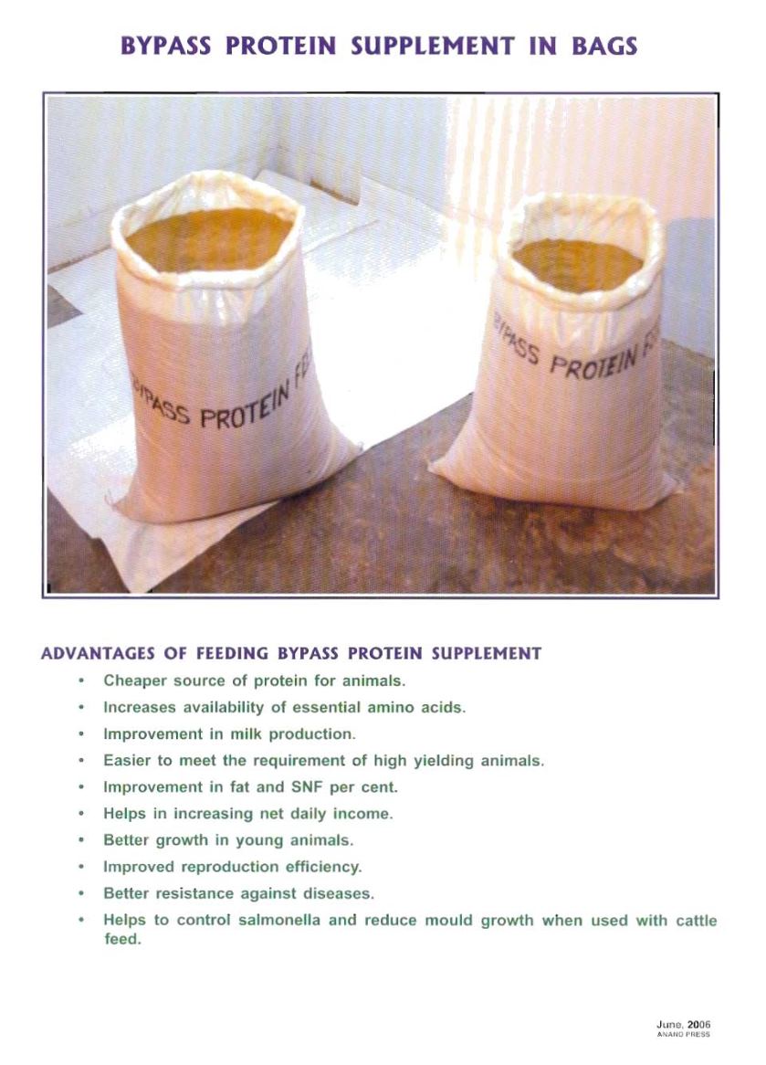 Bypass Protien Supplement-Eng