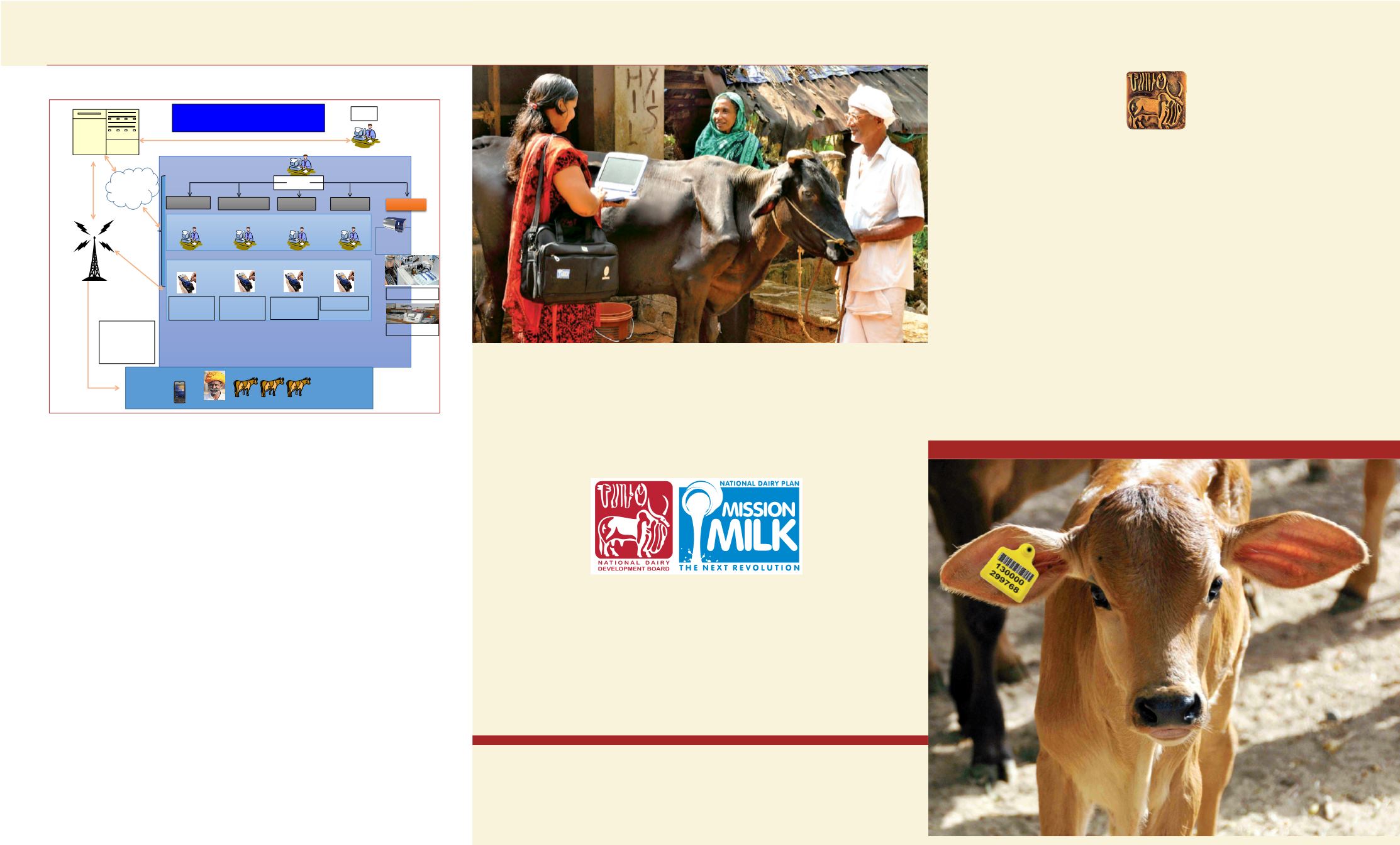 INAPH-brochure (for print 27.7.15)