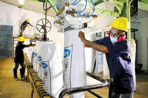 3.1.10 Bagging section | Dairy Knowledge Portal